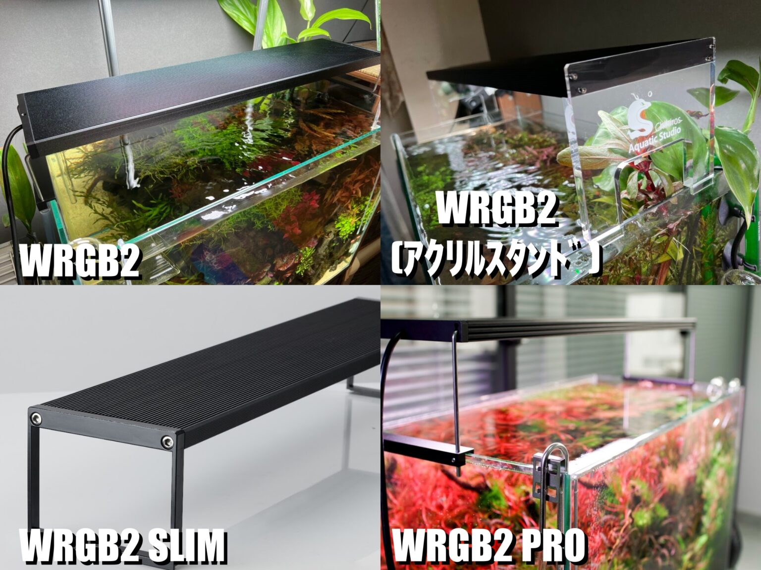 【性能比較】WRGB2 スリムやプロとの5つの違いを解説！見ればどれを選ぶべきかわかります！ | アクアリウム北海道